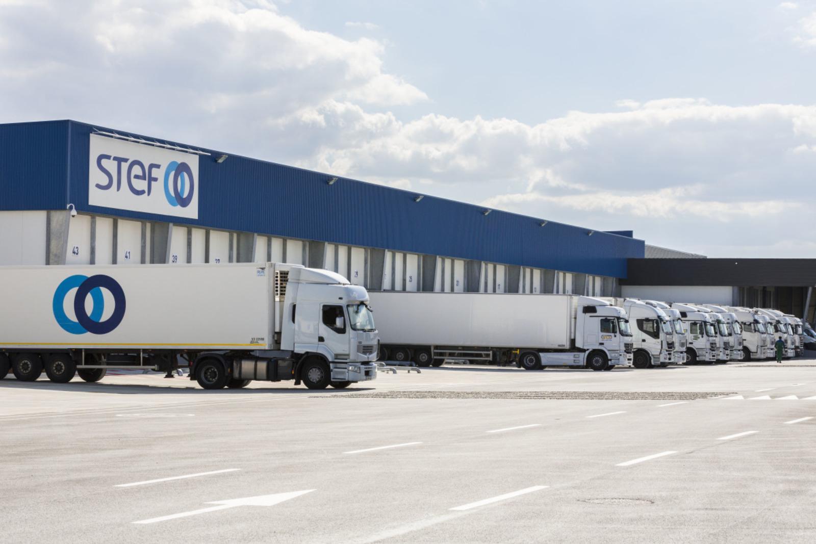 STEF Nederland » Status Pro