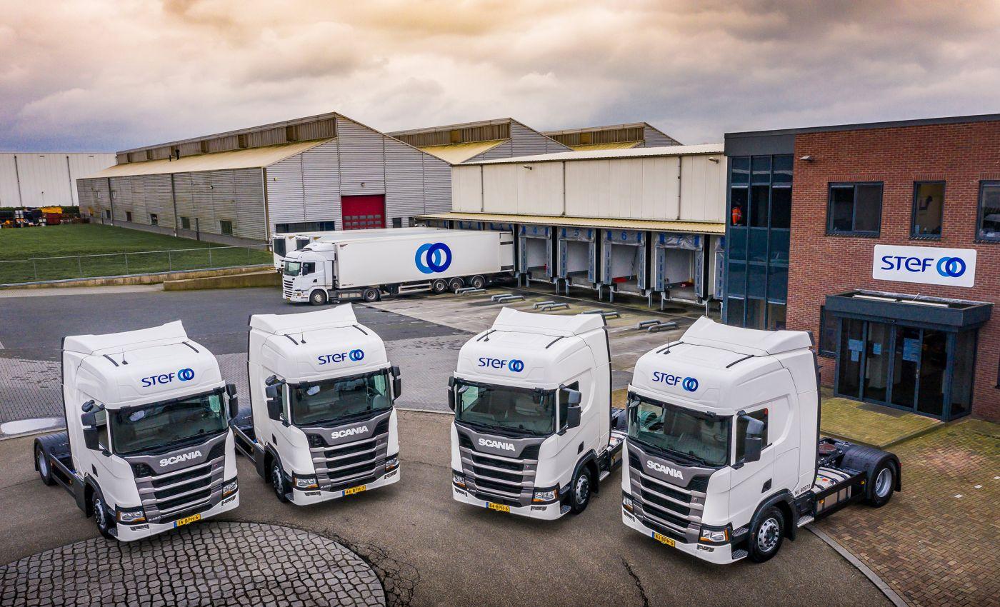 STEF Nederland » Status Pro